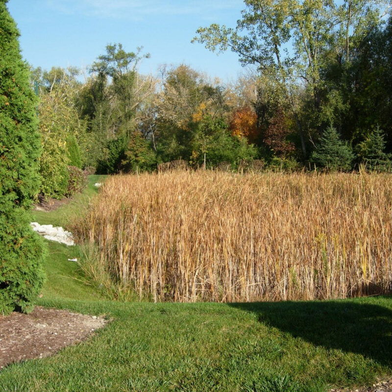 Dry Detention Basin