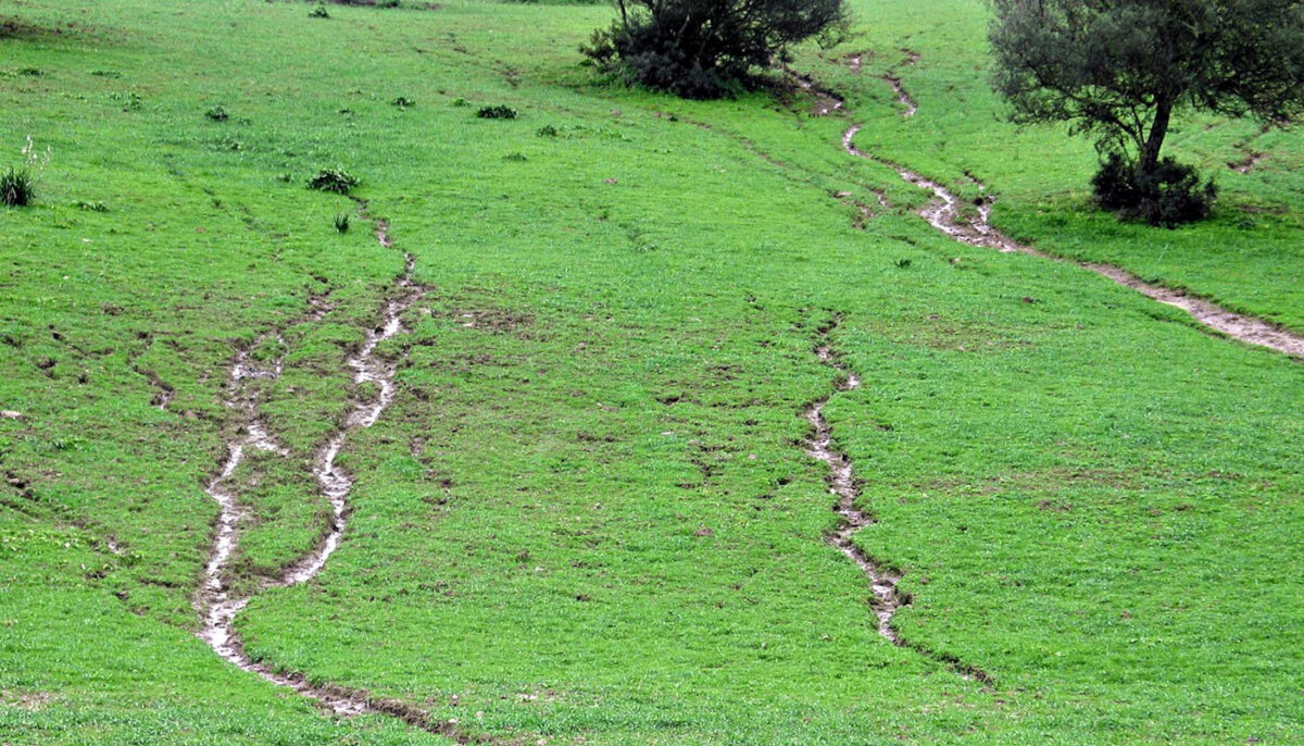 Soil Erosion Types & Solutions | Texoma Excavation & Construction