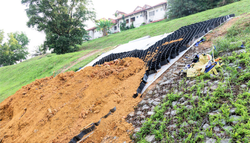 Bioswale Stormwater Management | Naturescape Rainscaping
