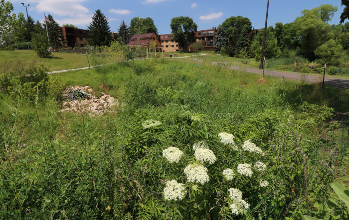 What is Rainscaping? Manage rainwater where it falls with style!