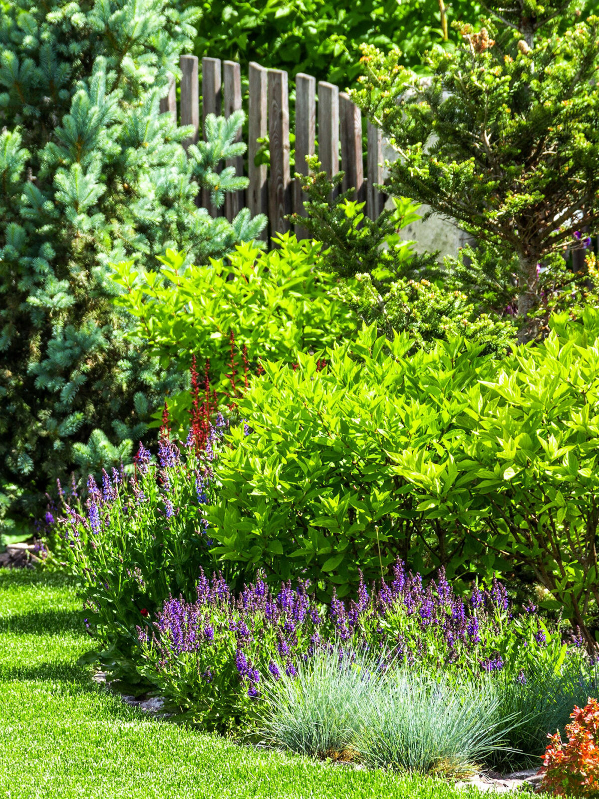 What is Rainscaping? Manage rainwater where it falls with style!