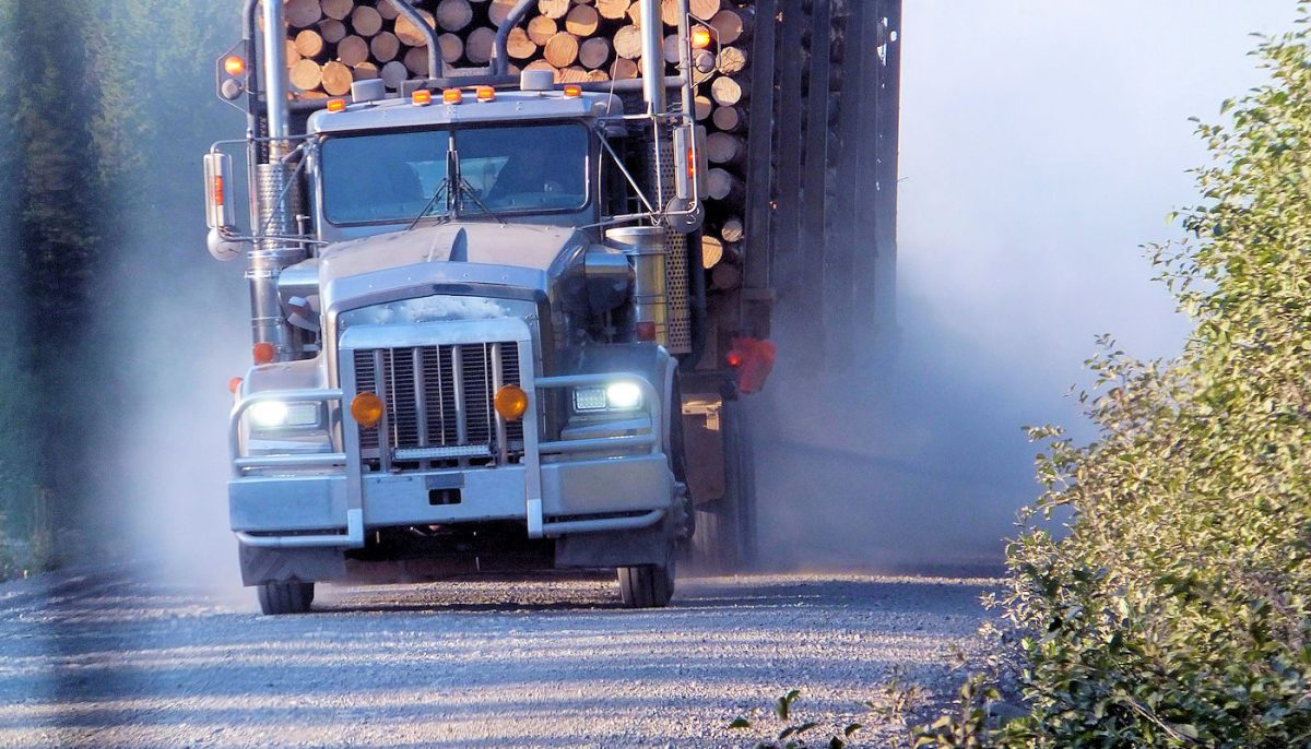 Gravel Roads Construction: Forest, Wooded, or Remote Areas